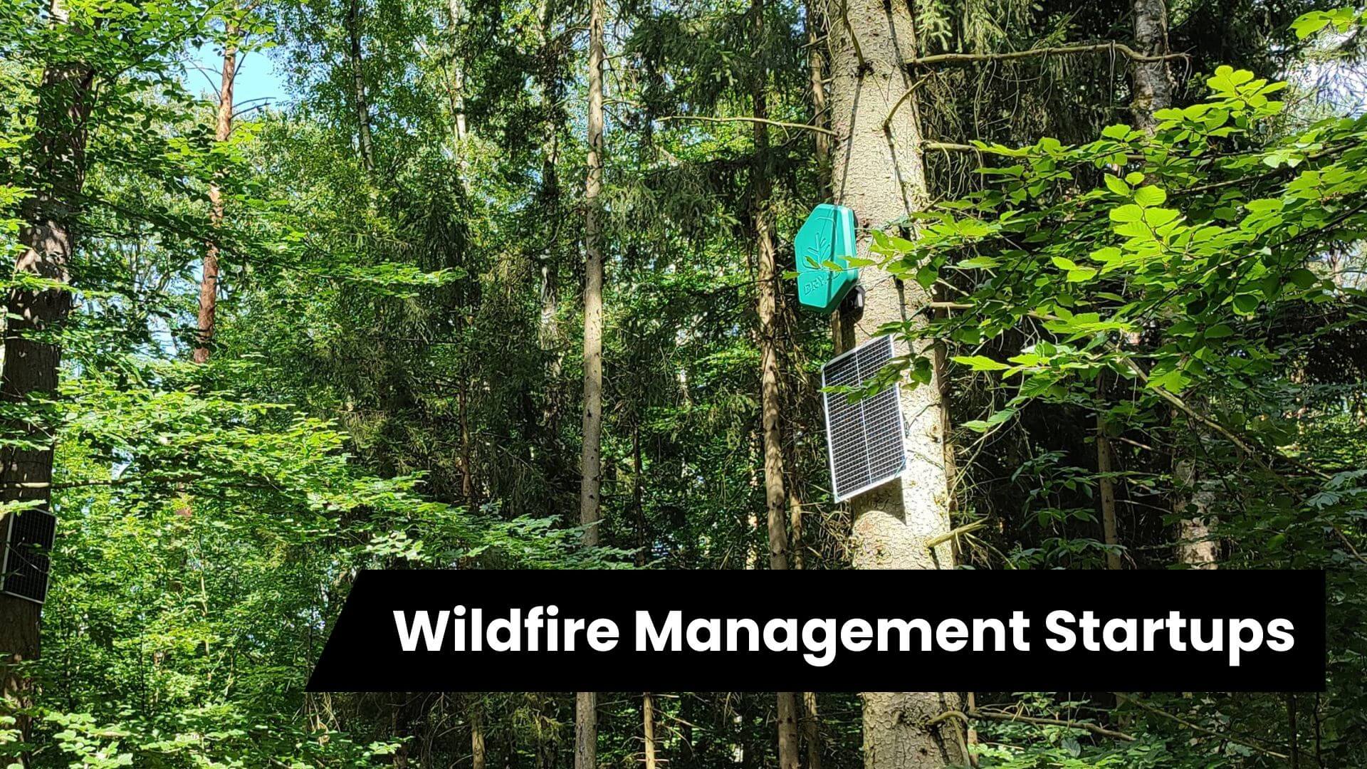 Five Wildfire Management Startups to Watch in 2025